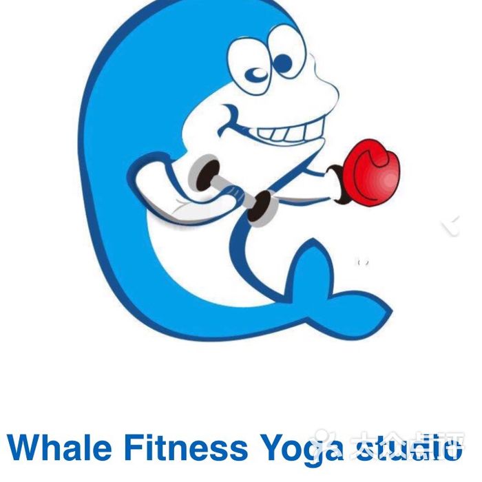 whale卡通图片-千图网